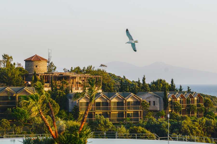 Club Marvy - İzmir, Özdere